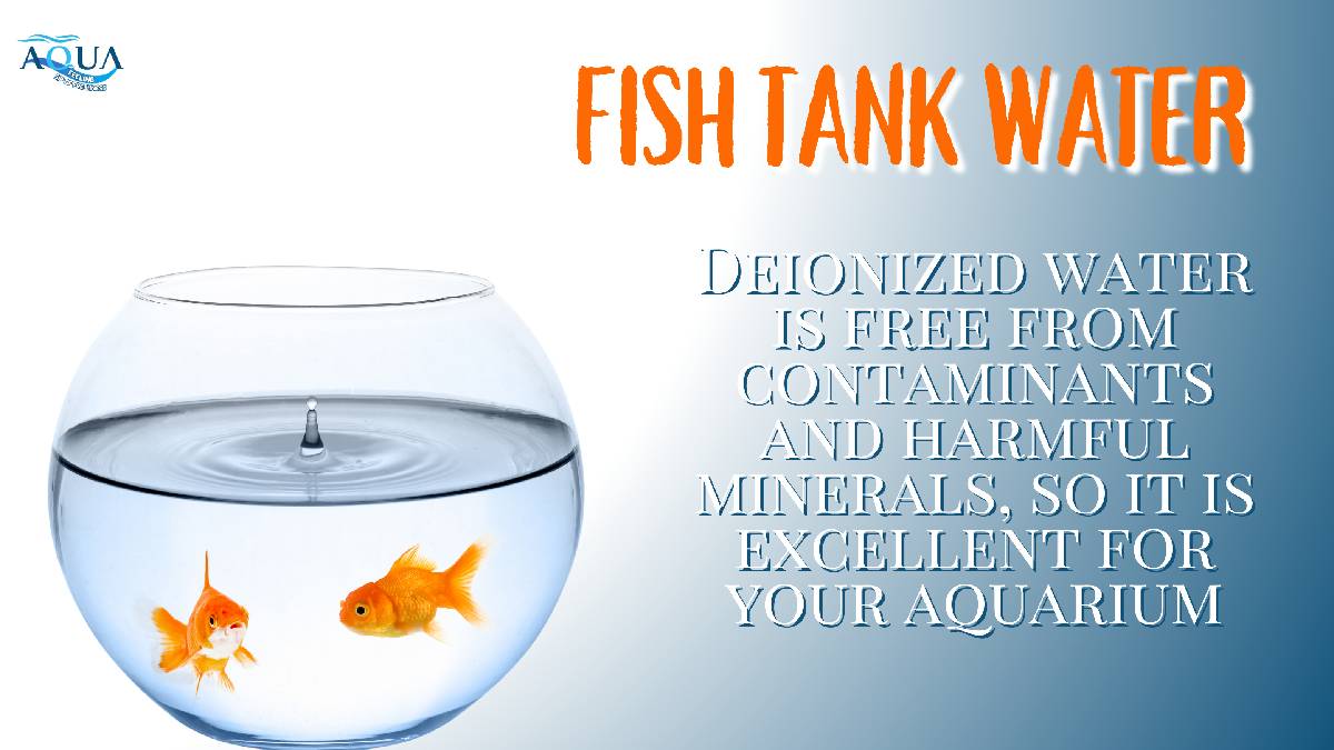 A Closer Look at Deionized Water: Uses and Benefits - Aqua Feeling